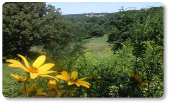 The Beauty of the "Arb" | Off Campus—Beyond the Diag